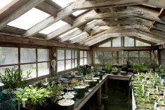 Pacific Horticulture | Protecting California’s Flora