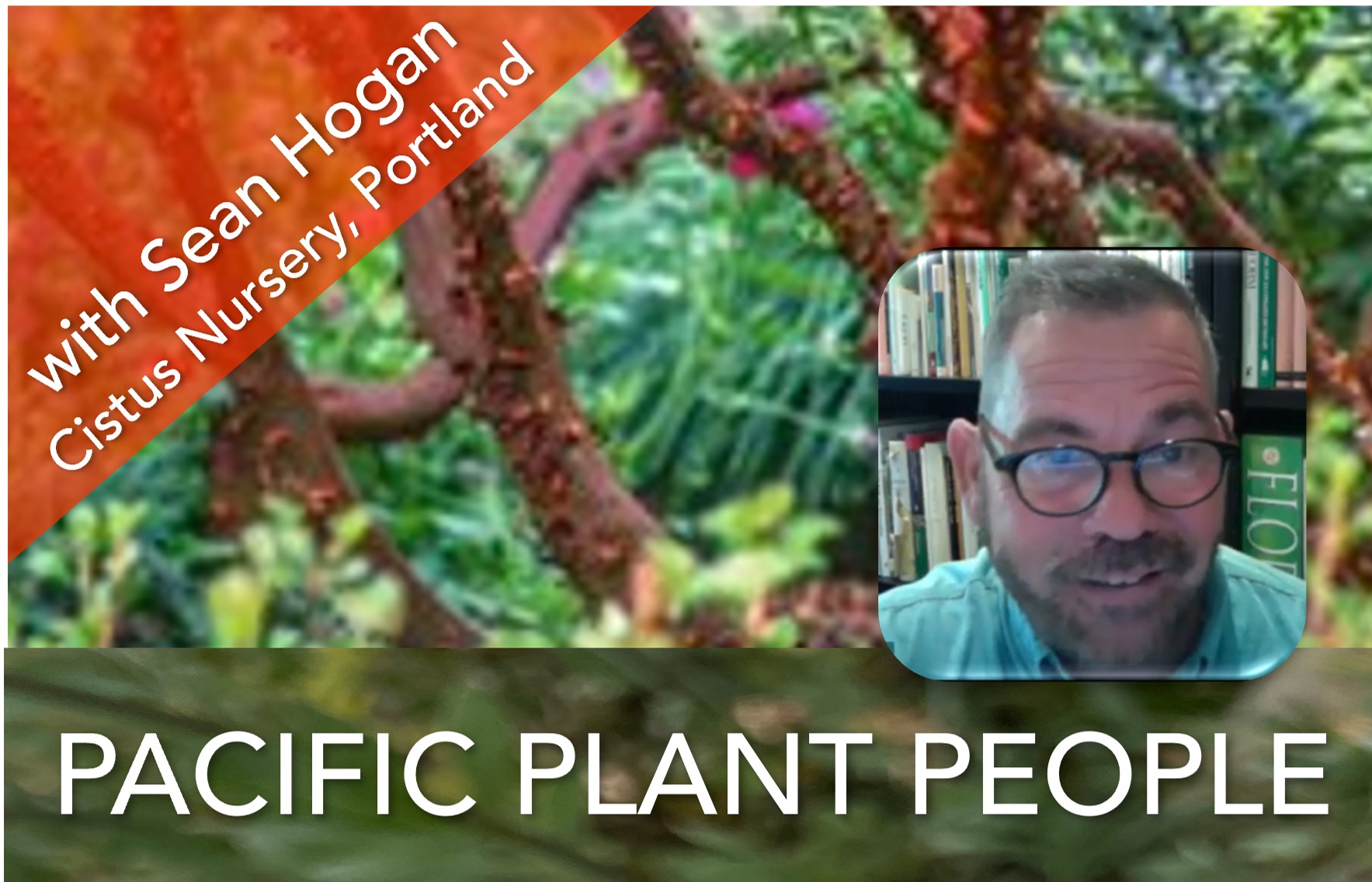 Pacific Plant People: with Sean Hogan, Cistus Nursery - Pacific ...